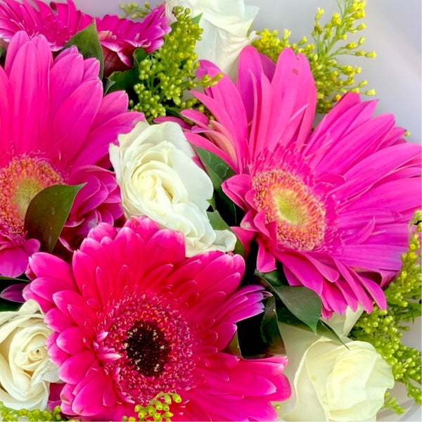 Ramo de Gerberas fiusha y Rosas blancas – Florería Decorazon